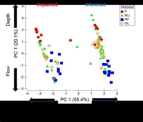 PCA Ordination To Reveal Variations Between And Within Reaches In Download Scientific Diagram