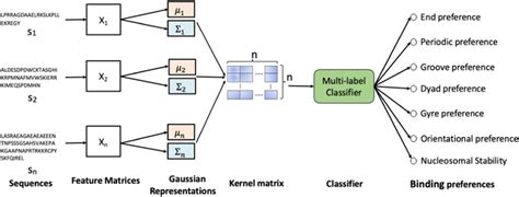 A Model To Predict Nucleosome Tf Binding Patterns The Sequence