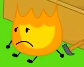BFDI BFB Matching Firey And Leafy Gif Pfp Icon Favorite Character