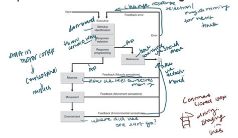 Module 7 MOTOR LEARNING Flashcards Quizlet