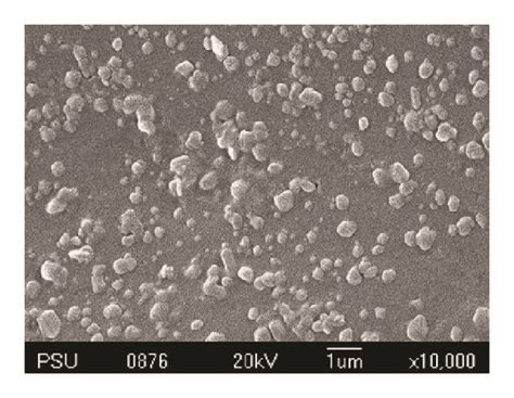 Sem Micrographs Of A Nacmc And B Nacmc G Paa Superabsorbent Polymer
