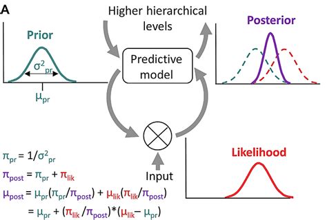 The Role Of Predictive Coding Theory In Schizophrenia Hallucinations By Lucas Galdino Medium
