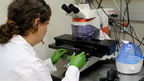 Laser Microdissection For Species Agnostic Single Tissue Applications