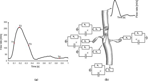 A Pulsatile Inlet Flow Rate Profile And Four Representative Time