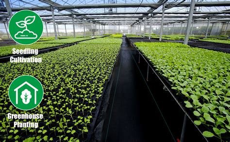 Kalolary Landscape Fabric Heavy Duty Garden Fabric Roll Polypropylene Black Weed
