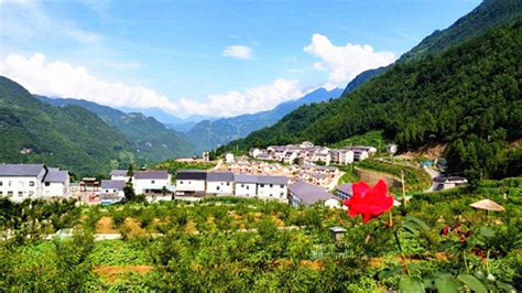 重庆巫溪：产业赋能 “农旅融合”闯出脱贫新路子
