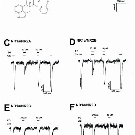 A The Chemical Structure Of Ergotamine B The H2o Injected Oocytes