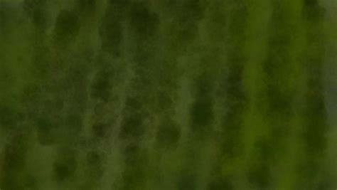 Phantom Animatronic Texture By Countmustard On Deviantart