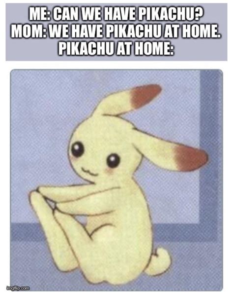 Me Can We Have Pikachu Mom We Have Pikachu At Home Rpokemonmemes