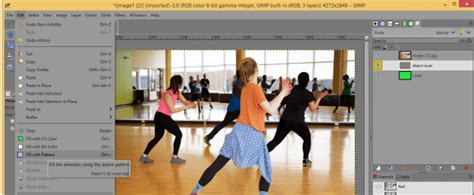 GIMP Layers Parameters And Features Of The Layers Panel Of GIMP