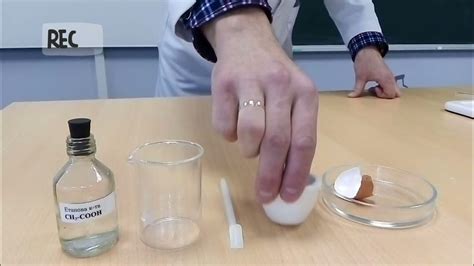 Практична робота 3 Дослідження фізичних та хімічних явищ Youtube