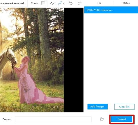 Best Ways On How To Crop Someone Out Of A Picture