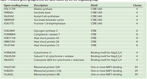Table 1 From Gene Expression Clustering And 3d Visualization Semantic Scholar