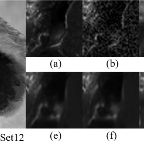 visual results of several models on one image from bsd68 dataset for