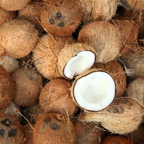 Coconuts Tonga Each Fruit World Fruit World Royal Oak