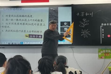 推门听课观常态 把脉课堂促成长——鸡冠区东风小学开展“推门课”活动 鸡西教育云