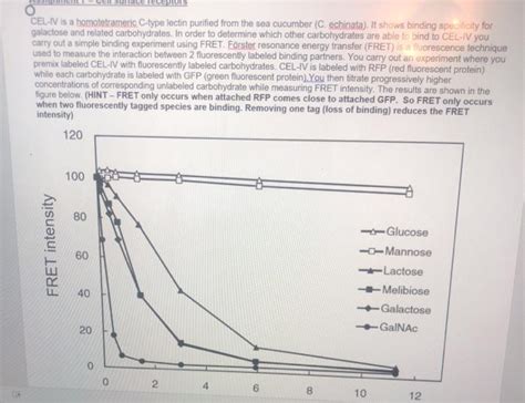 Solved Cel Iv Is A Homotetrameric C Type Lectin Purified