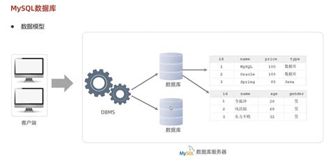 MySQL 学习笔记 基础数据模型DDLDML handsome zyc 博客园 MySQL 学习笔记 基础数据模型DDLDML handsome zyc 博客园