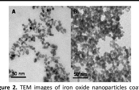 Figure 2 From Synthesis Of Iron Oxide Nanoparticles With Semantic Scholar