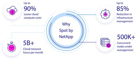 spot by netapp cloudpro store™