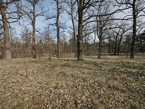 Recenzja Xiaomi Przepi Kny Wydajny Smartfon W Kt Rym Zabrak O Jednego