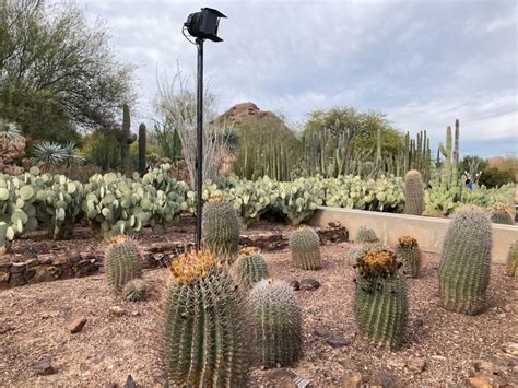 24 Must Visit Places In Phoenix For Your Travels