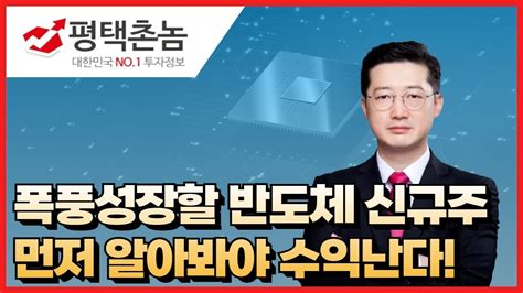급등주 미래반도체 반도체 삼성전자 Sk하이닉스 주식투자 2차전지 지수 코스피 코스닥 에코프로 에코프로비엠