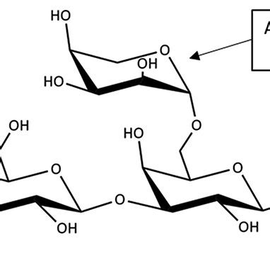 Structure Of The Main Gum Arabic Polysaccharide Arabinogalactan