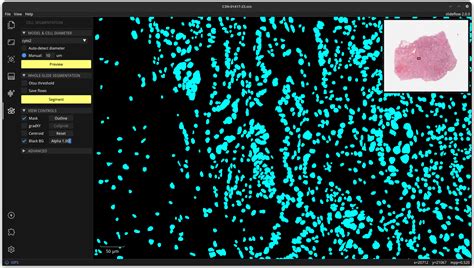 Cell Segmentation Slideflow Documentation