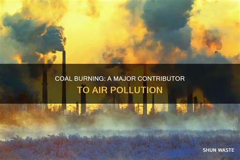 Coal Burning A Major Contributor To Air Pollution Shunwaste