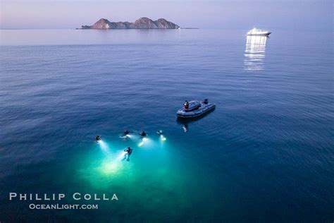 Diving Isla Angel De La Guarda In Baja Californias Midriff Islands