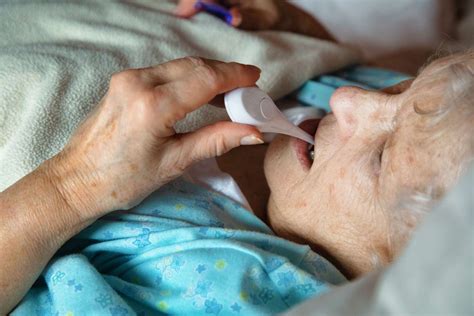 Pseudomonas Strains Infection Risks Antibiotics