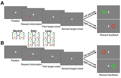 Schematic Of The Experimental Paradigm A Timeline Of A Trial During