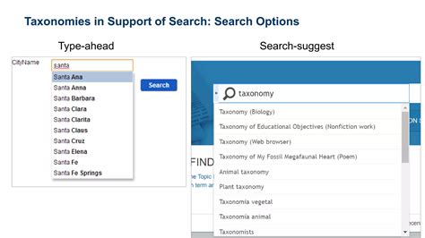 Taxonomy Design Best Practices Ppt