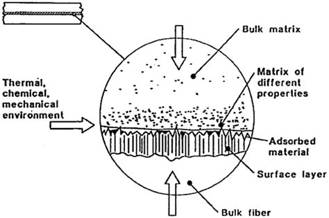 Cross Section Through A Composite Material Showing The Reinforcement Download Scientific