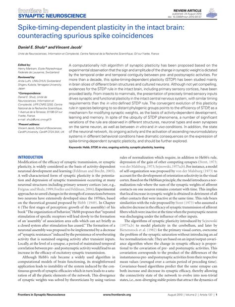 Pdf Spike Timing Dependent Plasticity In The Intact Brain