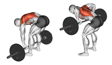 Barbell Pendlay Row Benefits Muscles Worked And More Inspire US