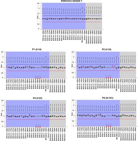Multiplex Ligation Dependent Amplification Mlpa Assay For Detection