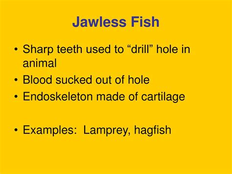 Ppt Fishour Friends In The Water Powerpoint Presentation Free