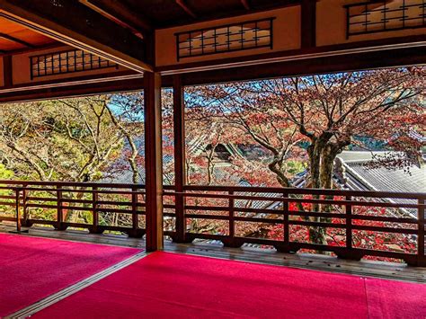 柳谷観音 楊谷寺（花手水）京都府長岡京市の観光・撮影スポットの名所 東海カメラマップ