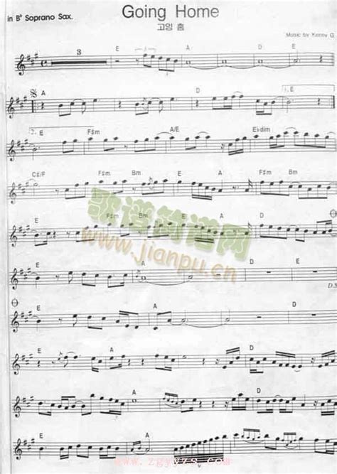 《回家》 歌谱简谱网
