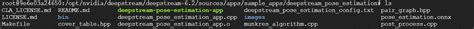 error while running pose estimation in deepstream container deepstream sdk nvidia developer
