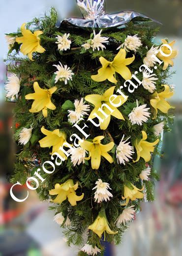 Jerba Din Crizanteme Si Crini Galbeni