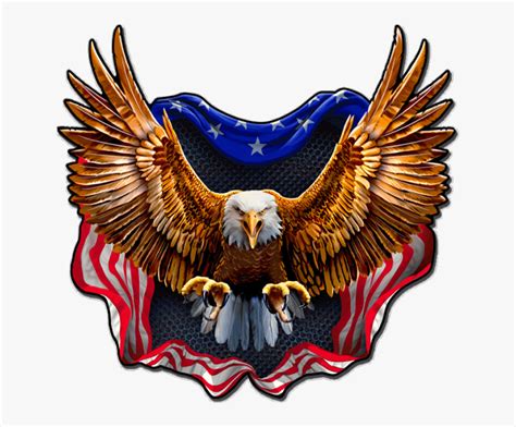 Eagle Images Hd Png