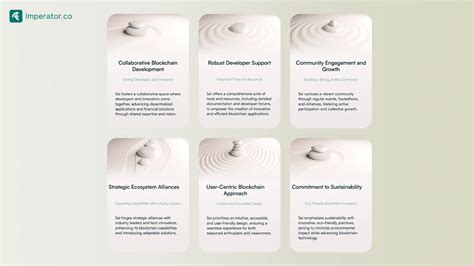 What Is Sei Sei A Comprehensive Overview