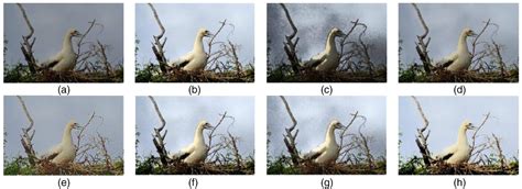 A Novel Detail Weighted Histogram Equalization Method For Brightness