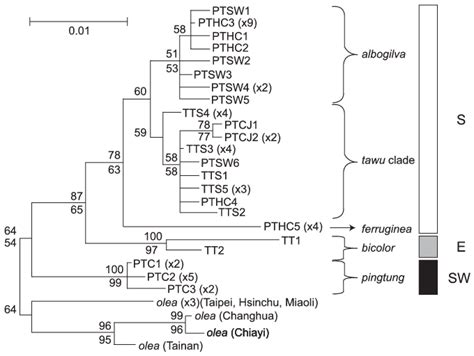 Neighbor Joining Tree From Kimura S 2 Paramater Distance Matrix For