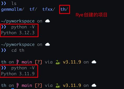 鱼雪 Python的包管理器 Rye 使用指南和注意事项