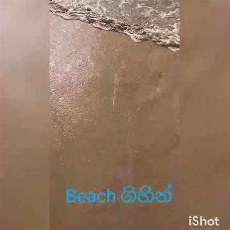 අපි මුහුදු වෙරළ බලන්න ගිහින් නටපු පිස්සු Youtube