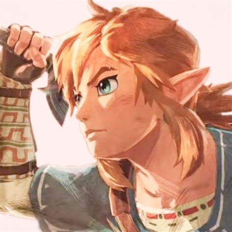 Botw Link Icon Legend Of Zelda Zelda Art Legend Of Zelda Breath